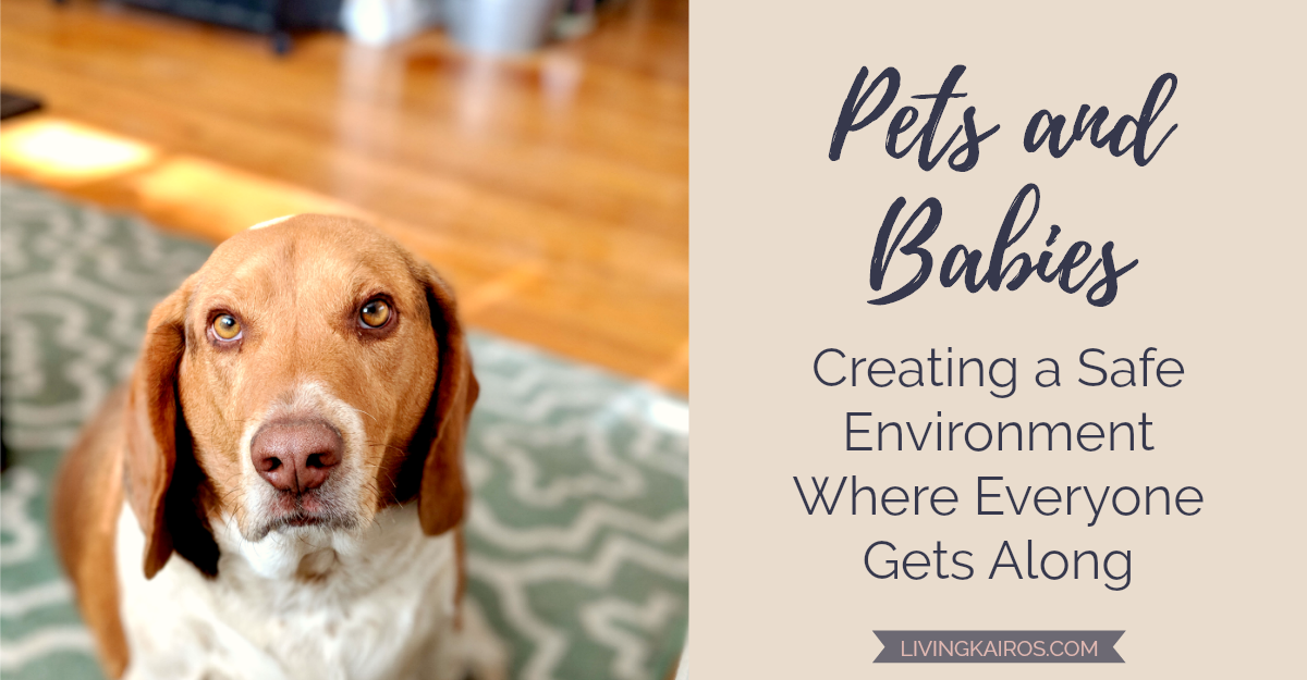 Pets and Babies: Create a Safe Environment | Baby Health & Safety